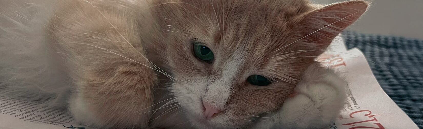 God's Not Mad at You | Key Life