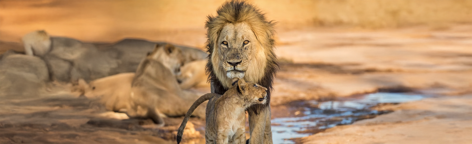 God's Not Mad at You | Key Life